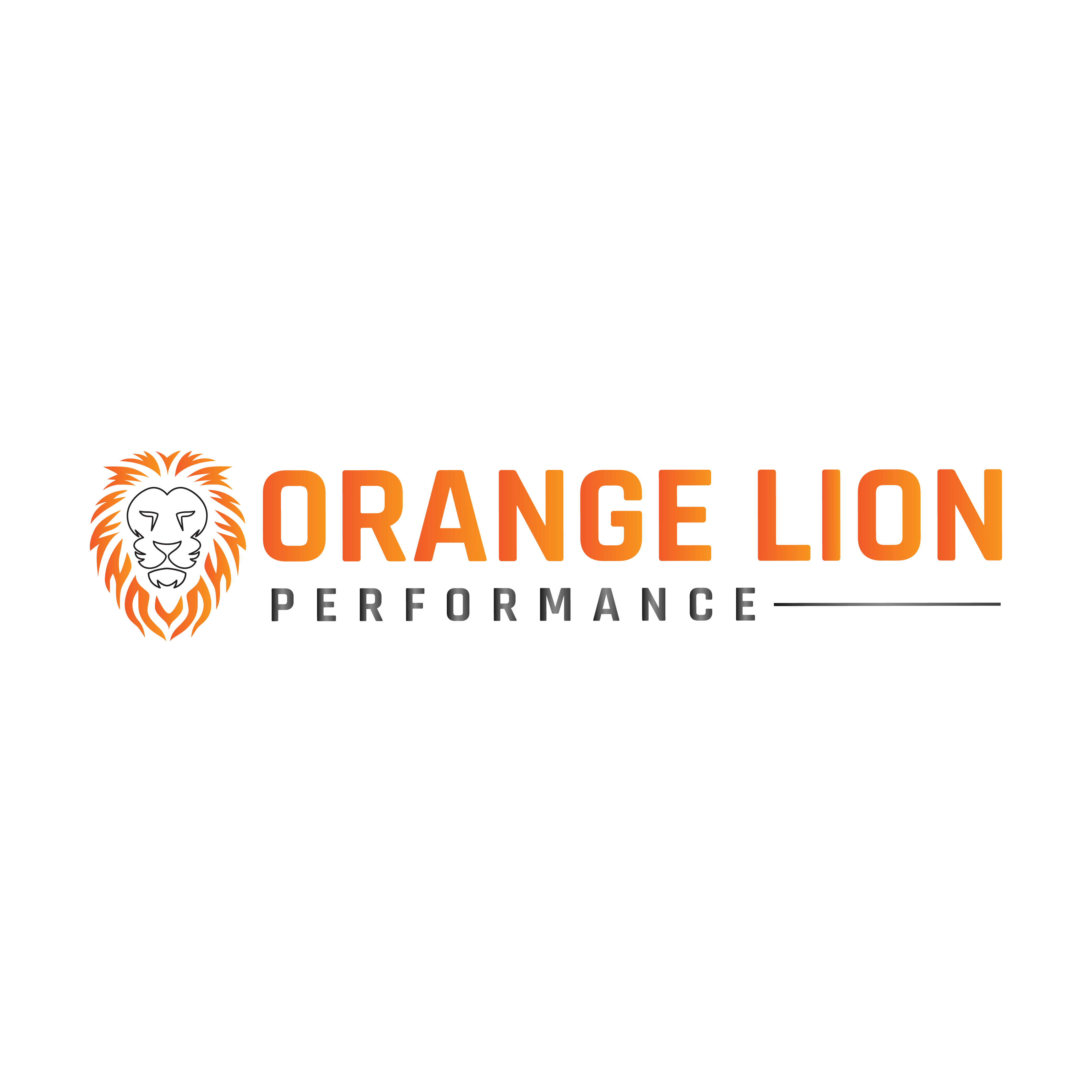 ORANGE LION PERFORMANCE - PRODUCTS